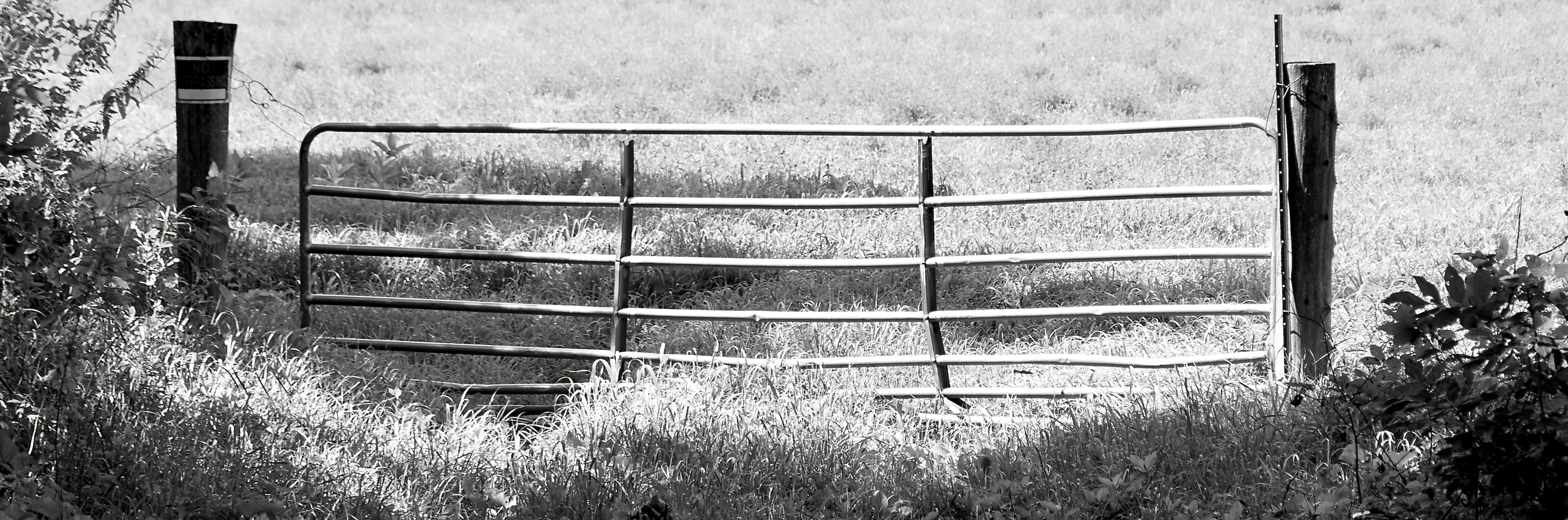 Attempting Achromatization – Enchanting Essex